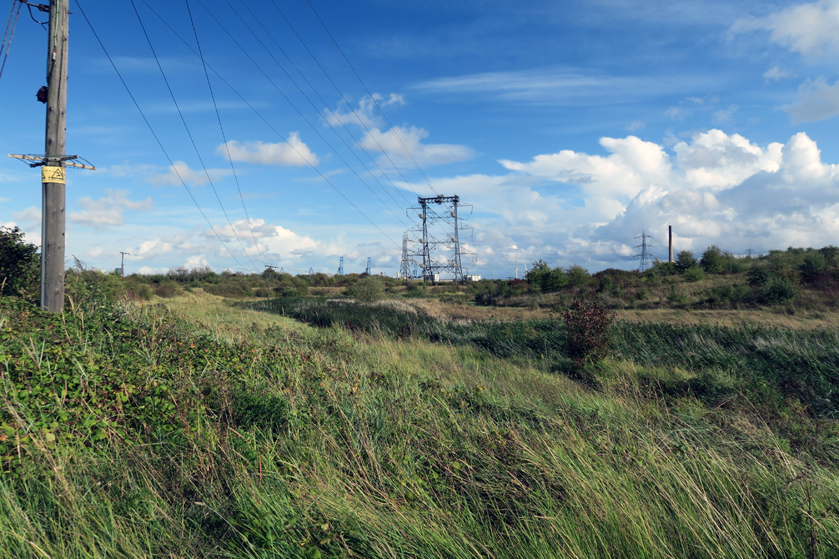 Swanscombe Peninsula to the Dartford Marshes, a Thames Estuary walk