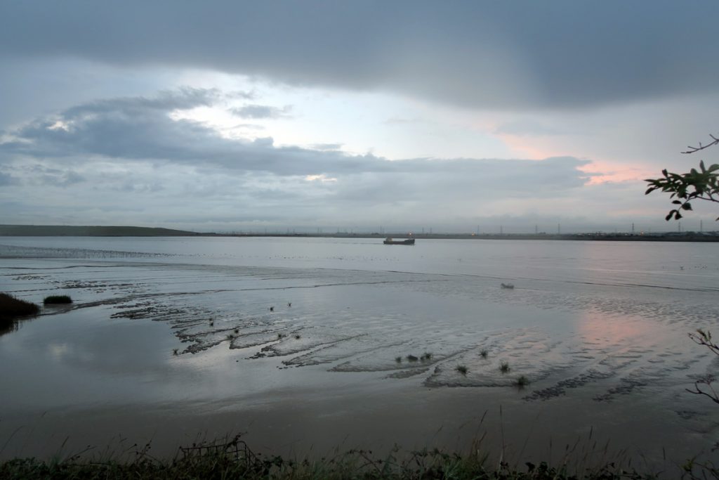 Swanscombe Peninsula to the Dartford Marshes, a Thames Estuary walk